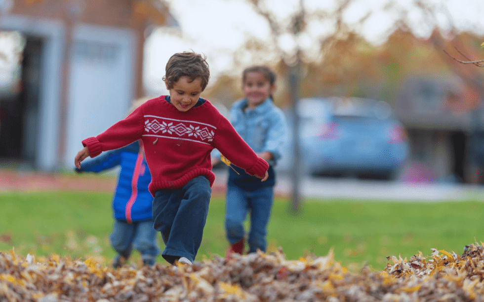 Leaf Chromatography Explained: A Fun Fall Science Experiment | Bright ...
