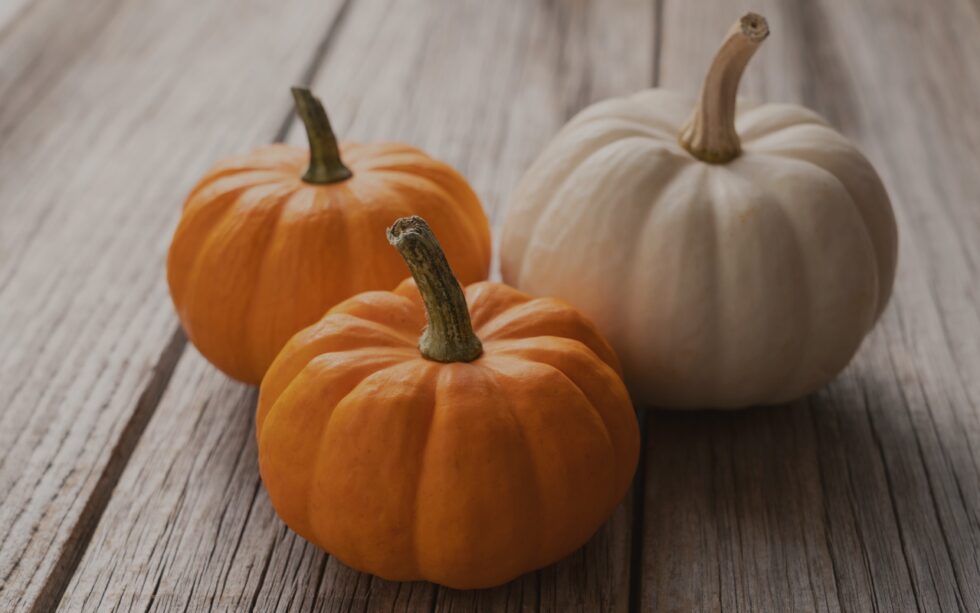 Pumpkin Power: How Many Pumpkins Does It Take to Light a Lightbulb ...
